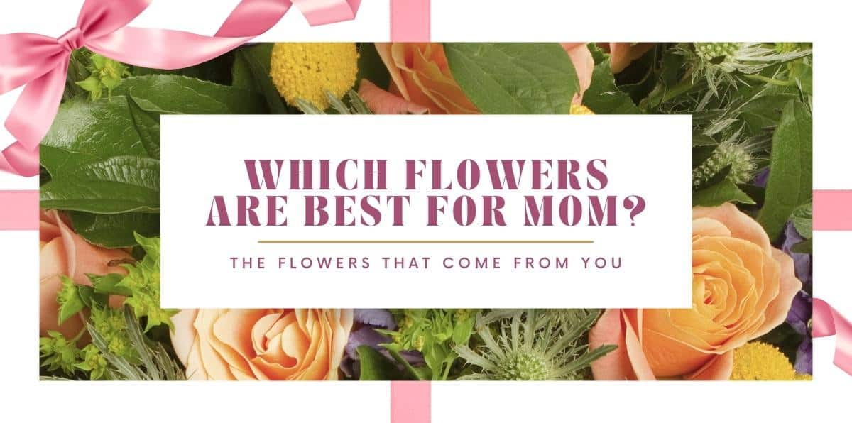 How to Make Sure Mom Gets the Best Flowers for Mother's Day - Shirley's ...